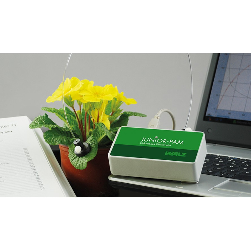 Compact Fluorometer WALZ