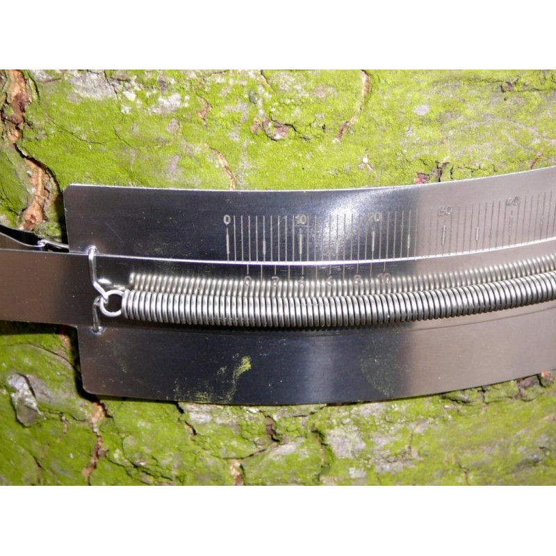 DB20 Steel Band Perimeter Dendrometer - Maranata-Madrid SL - NIF B-85746204