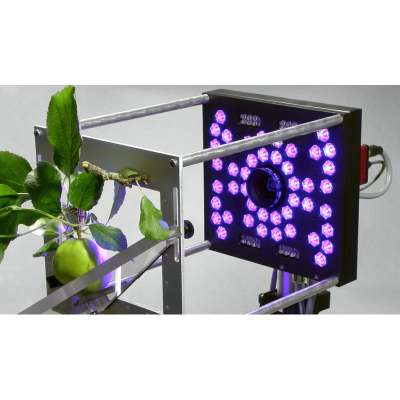 Buy Chlorophyll Fluorescence System, model IMAGING-PAM M-Series