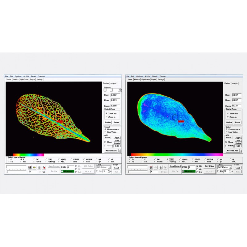 Buy Chlorophyll Fluorescence System, model IMAGING-PAM M-Series
