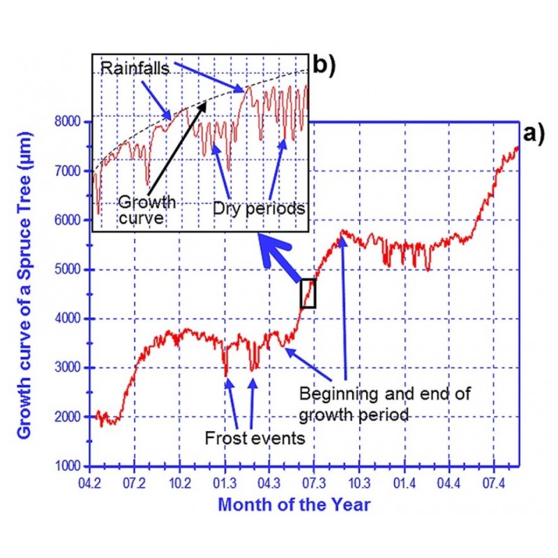 DC1 Circumference Dendrometer (for tree diameters from 5 to 30 cm ...