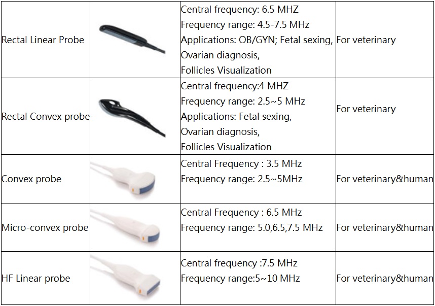 Veterinary Ultrasound Probes at Alana Mcgovern blog