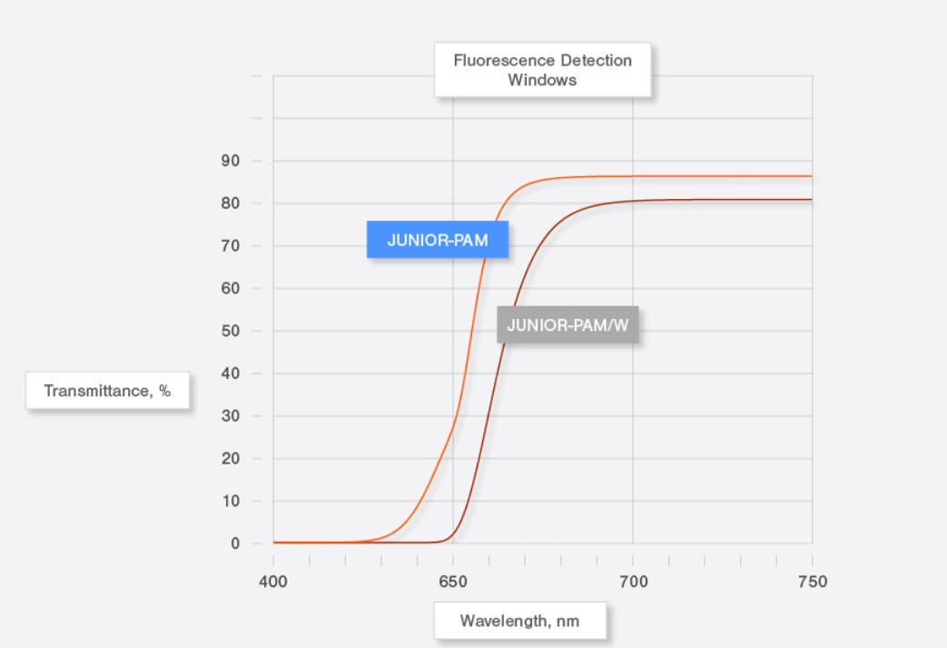 Compact Fluorometer WALZ